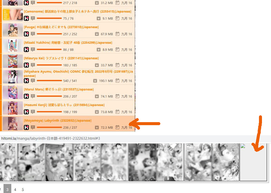 How to fix hitomi source image missing? · Issue #5310 · KurtBestor/Hitomi-Downloader · GitHub