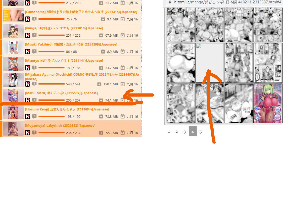 How To Fix Hitomi Source Image Missing · Issue 5310 · Kurtbestor Hitomi Downloader · Github