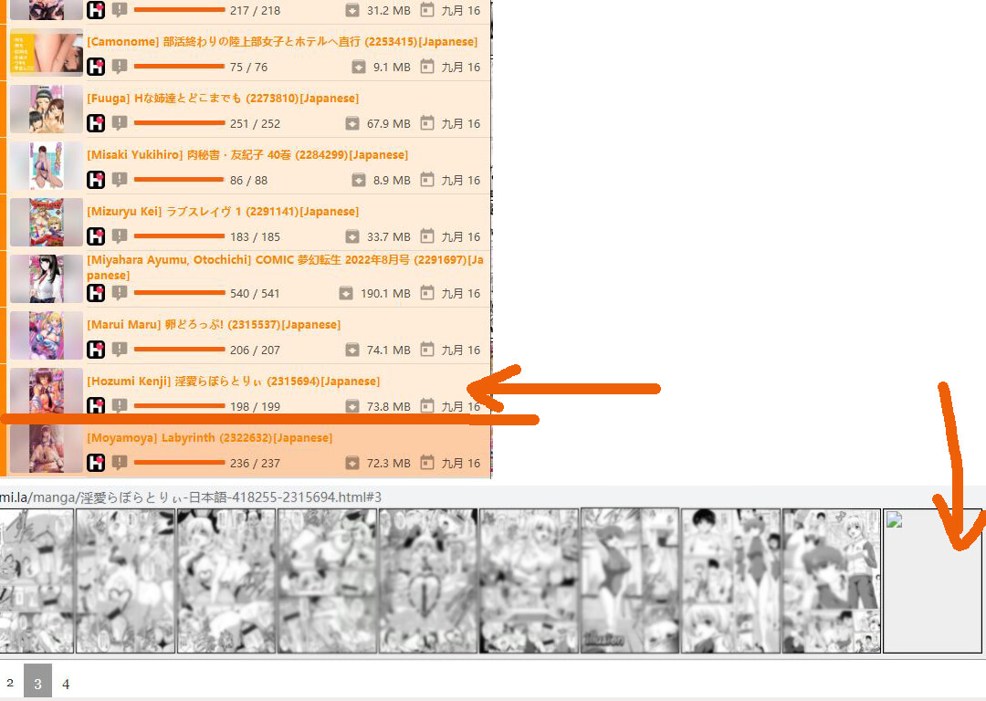 How To Fix Hitomi Source Image Missing · Issue 5310 · Kurtbestorhitomi Downloader · Github 